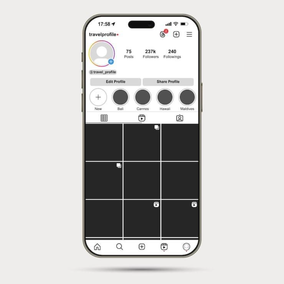 Private Instagram viewer safety checklist - Goonview